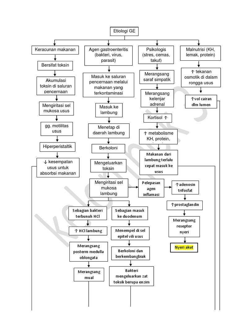 Pathway Gastroenteritis | PDF