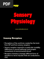 Active and Passive Voice Class 6 Worksheet | PDF