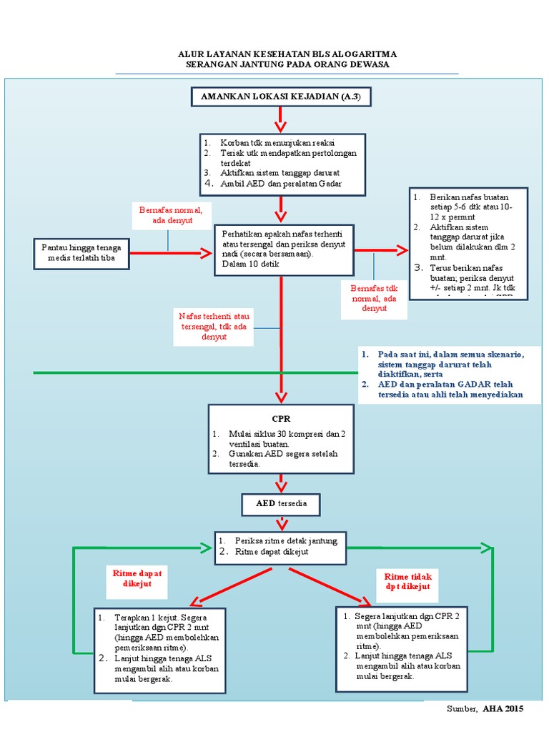 Alur Bls. Aha 2015 | PDF
