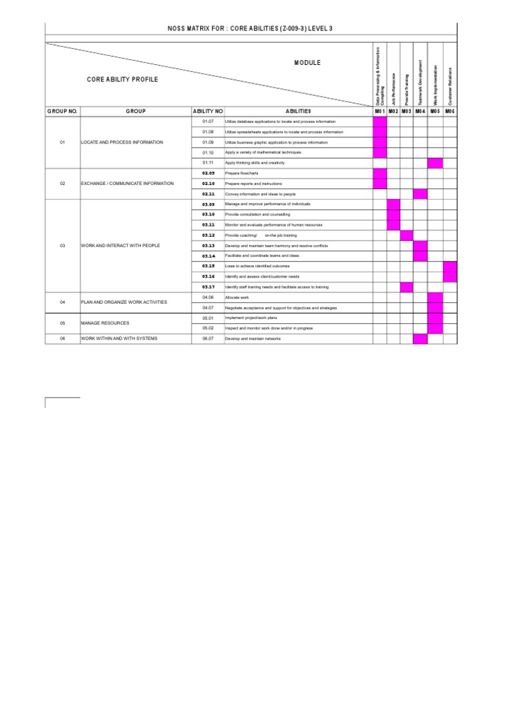 Noss Matrix L3 | PDF | Information | Strategic Management