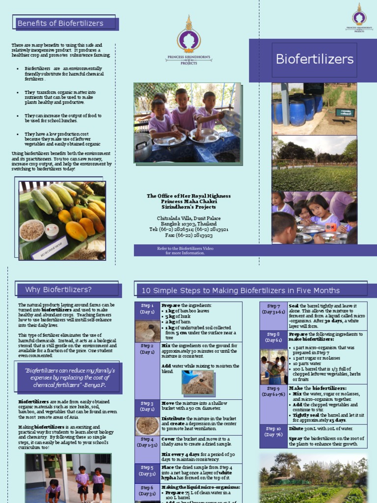 English Biofertilizers Brochure | PDF | Fertilizer | Vegetables