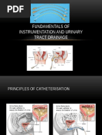 Urinary Catheterization PPT Lecture | PDF | Urinary Incontinence | Urology