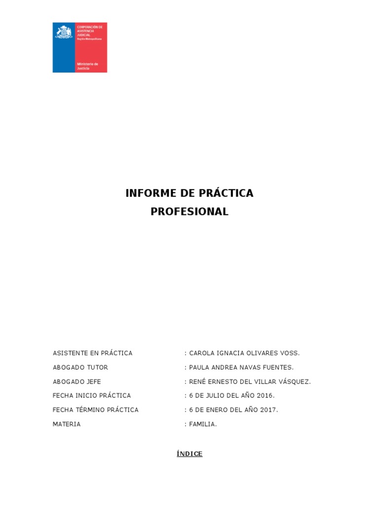 Modelo de Informe Práctica Profesional | PDF | Virtud | Información del ...