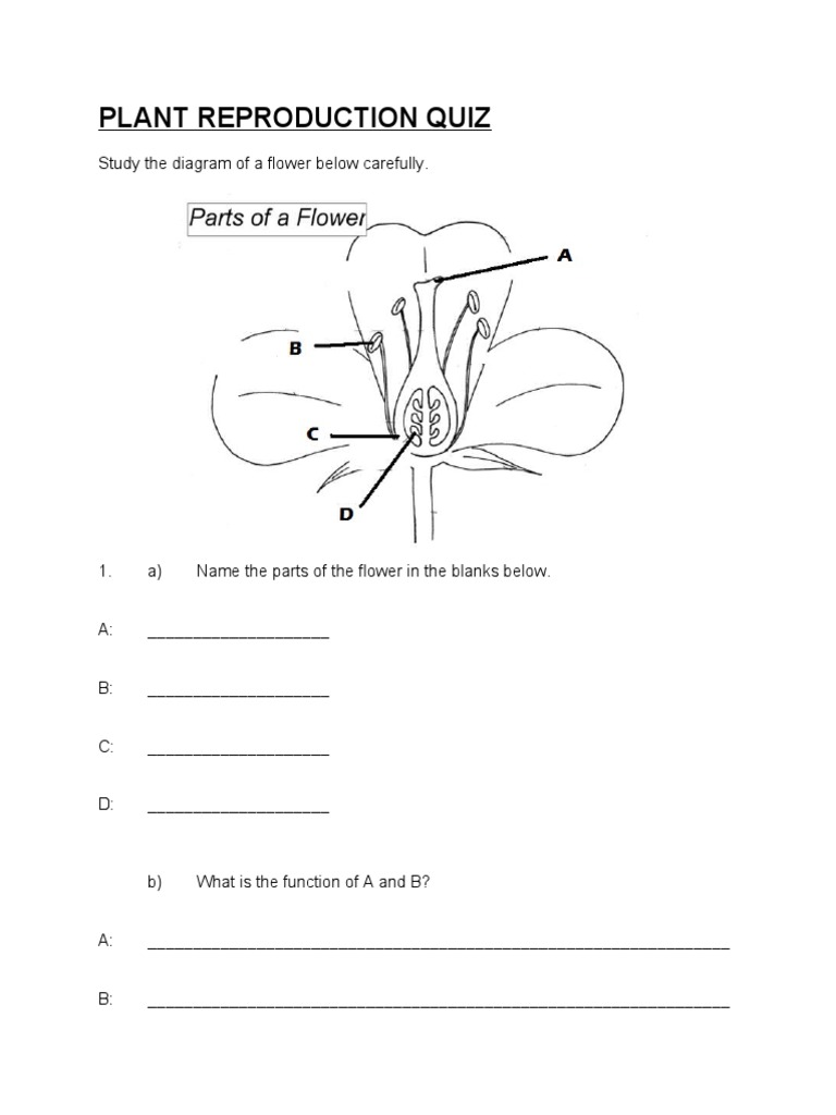 Plant Reproduction Quiz for Students | PDF | Teaching Methods & Materials