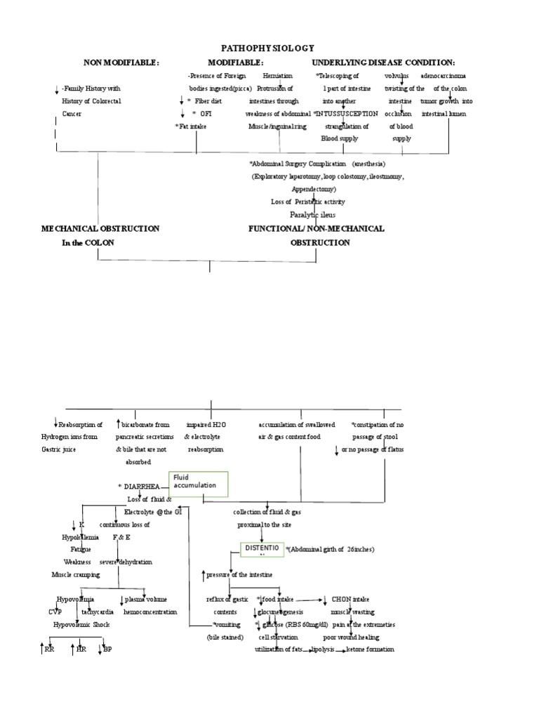 Bowel Obstruction Pathophysiology | PDF | Large Intestine ...