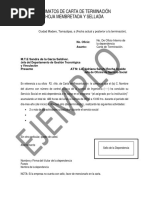 Ejemplo Carta de Liber 25 | PDF