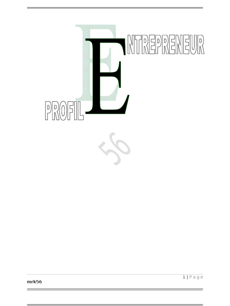 Entrepreneur Profile: Sultan Lodhi | PDF | Employment | Entrepreneurship