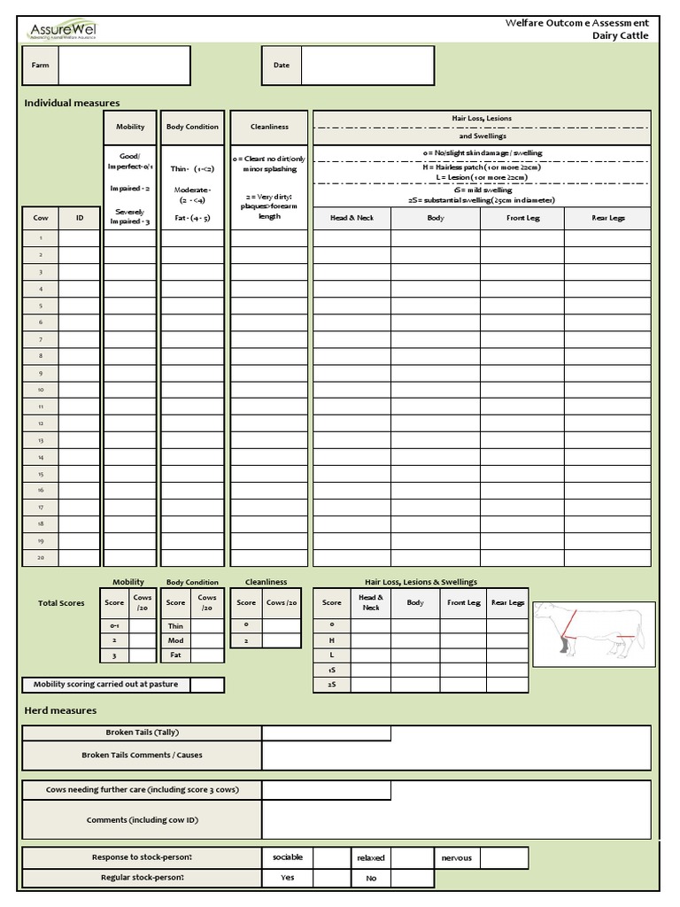 AssureWel Dairy Scoresheet - Generic | Calf | Cattle