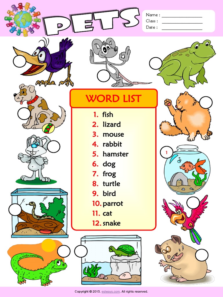 Pets Esl Vocabulary Number The Pictures Worksheet For Kids | PDF