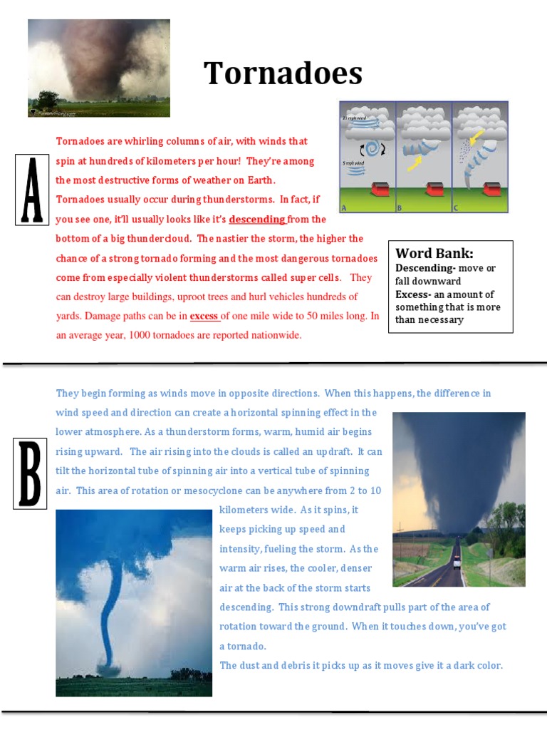 Tornado Reading Differentiated 1 | Tornadoes | Nature