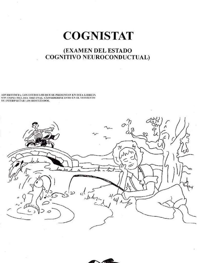 Cuadernillo Cognistat PDF | PDF