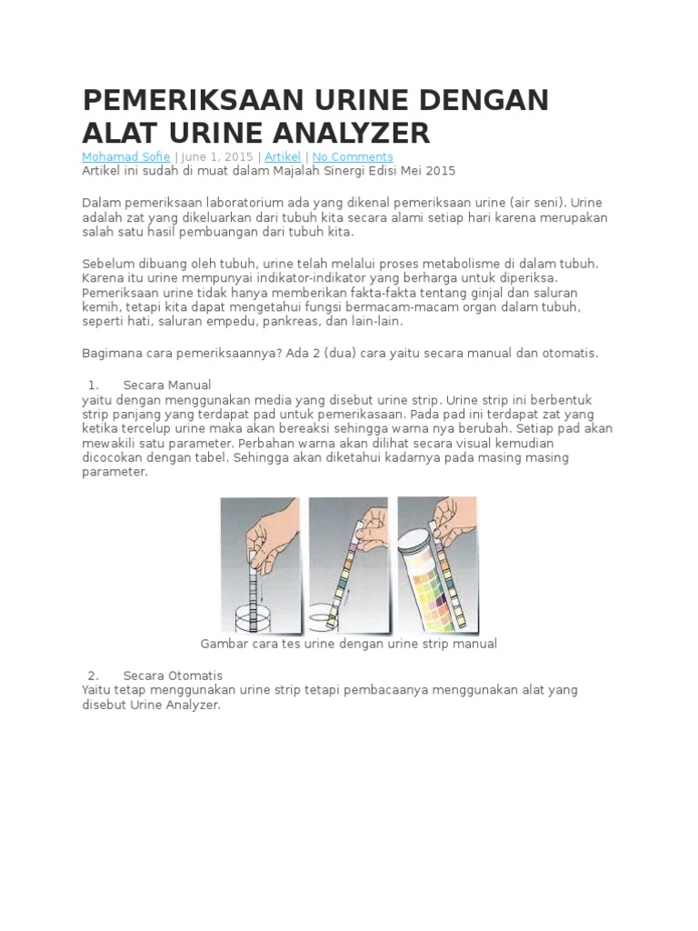 Pemeriksaan Urine Dengan Alat Urine Analyzer | PDF