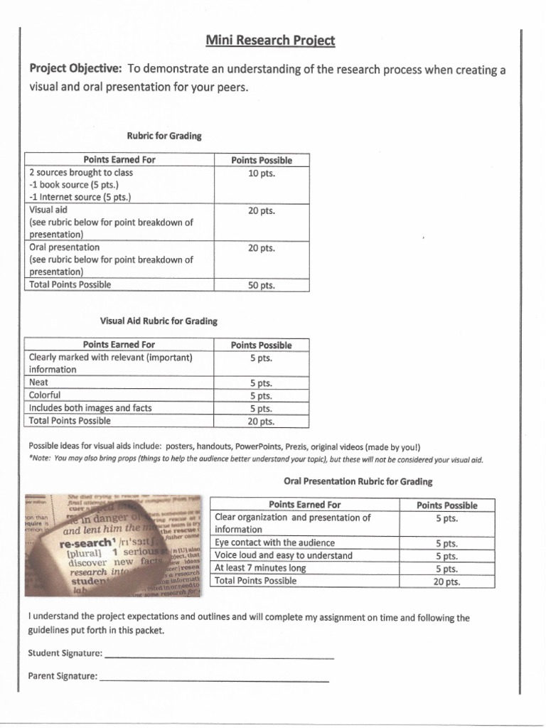 Mini Research Project Rubric and Example Topics | PDF