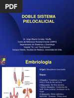 Protocolo Diagnóstico de Las Adenopatías Inguinales | PDF | Infección transmitida sexualmente ...