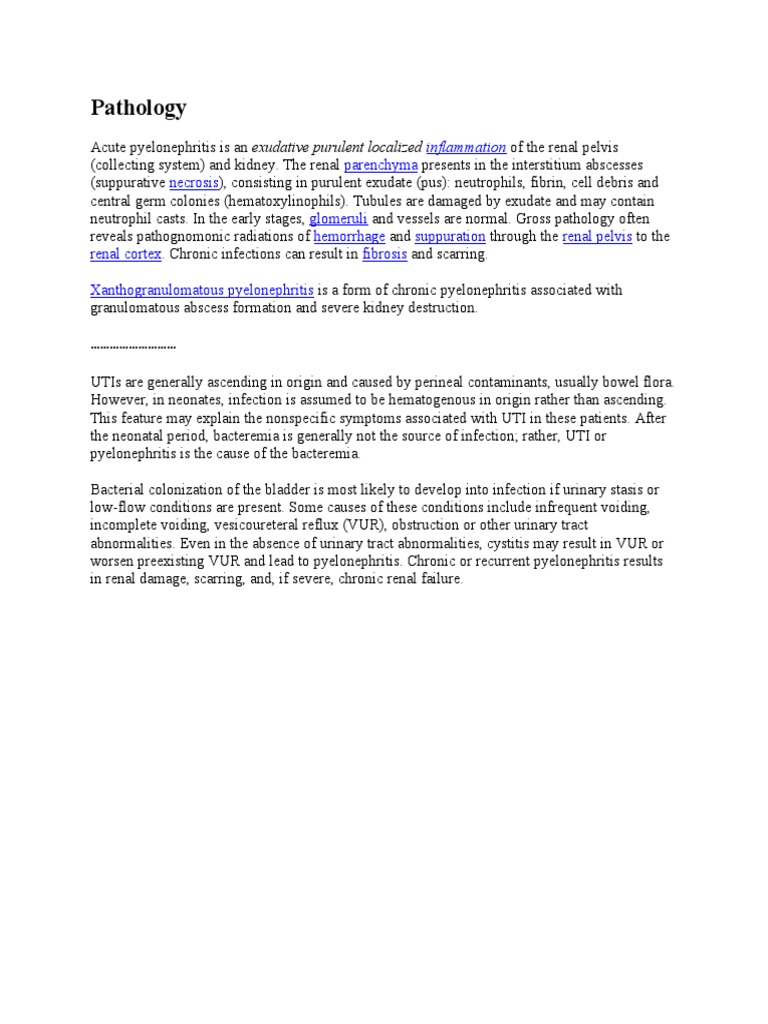 Pyelonephritis Pathophysiology | PDF | Science & Mathematics