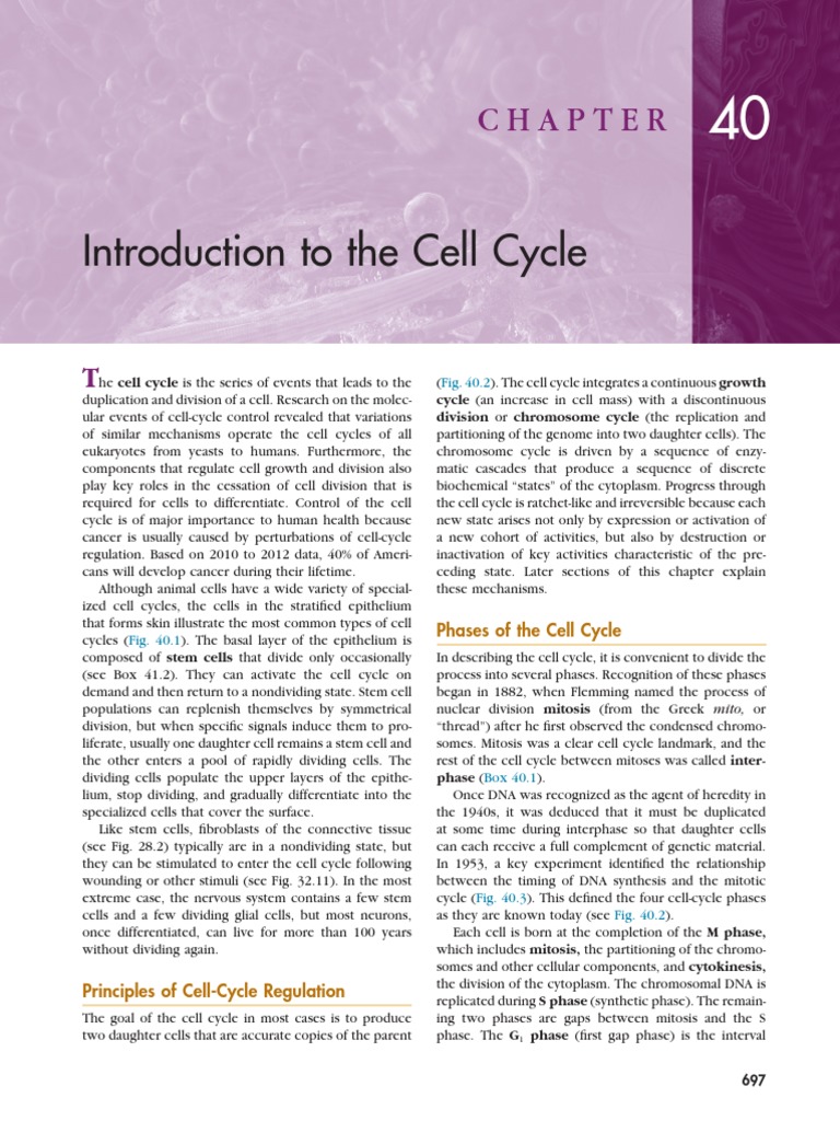 CH - 40 - Introduction To The Cell Cycle | PDF | Cell Cycle | Mitosis