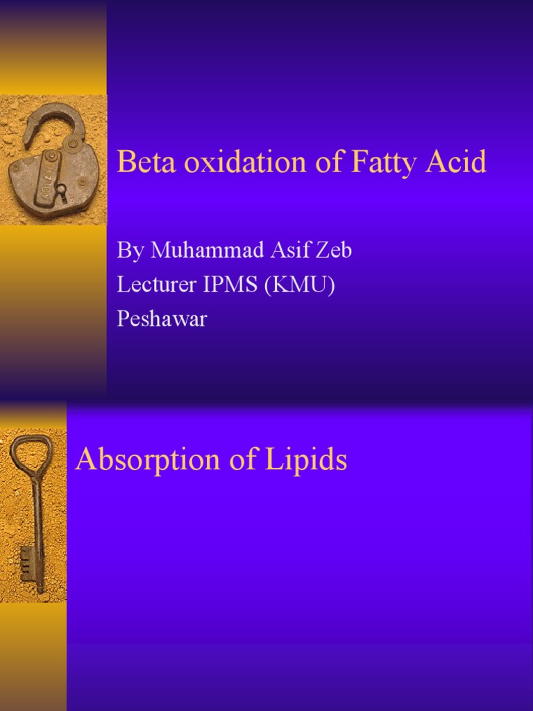 Beta Oxidation - PPTX Asif | PDF
