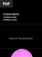 CAP Protocol-2016 Thyroid - Highlighted | PDF | Neck | Carcinoma
