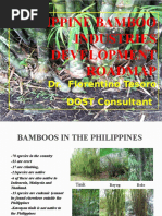 Bamboo Species in the Philippines | PDF | Bamboo | Soil