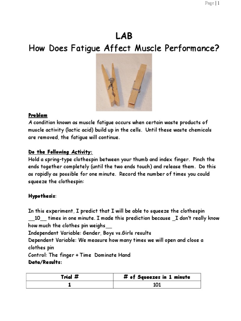 Musclelaba 1 | PDF | Muscle | Experiment