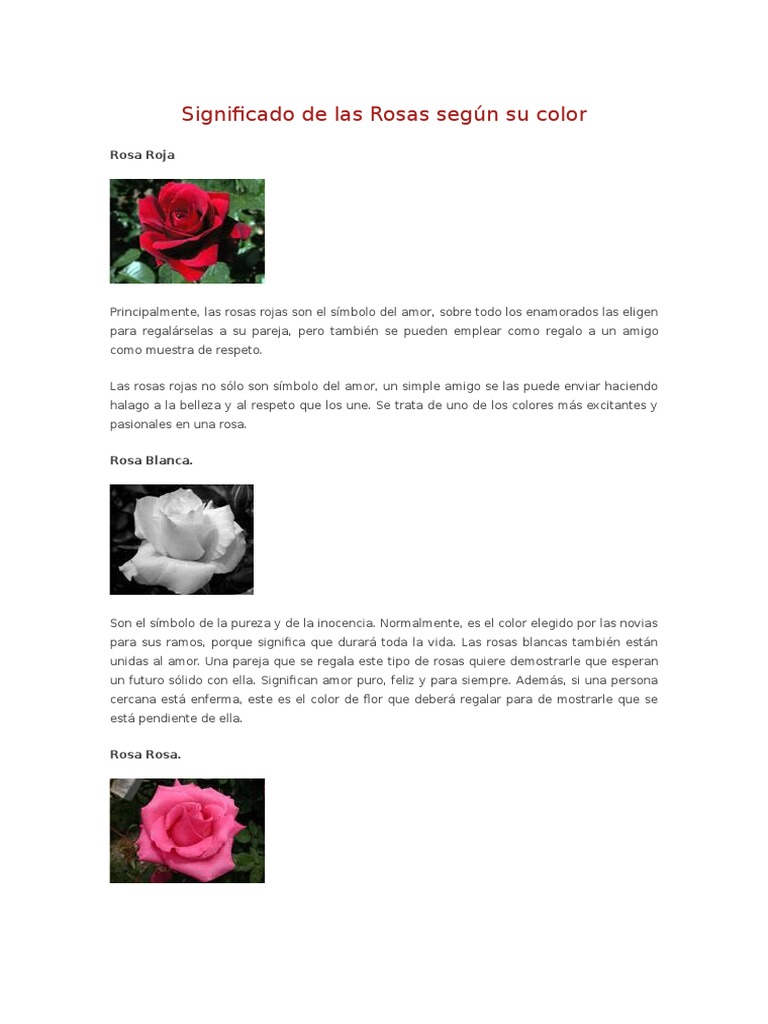 Significado de Las Rosas Según Su Color | PDF | Rosa | Amor