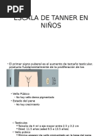 Tanner Femenino y Masculino Pediatría | PDF | Pecho | Características ...