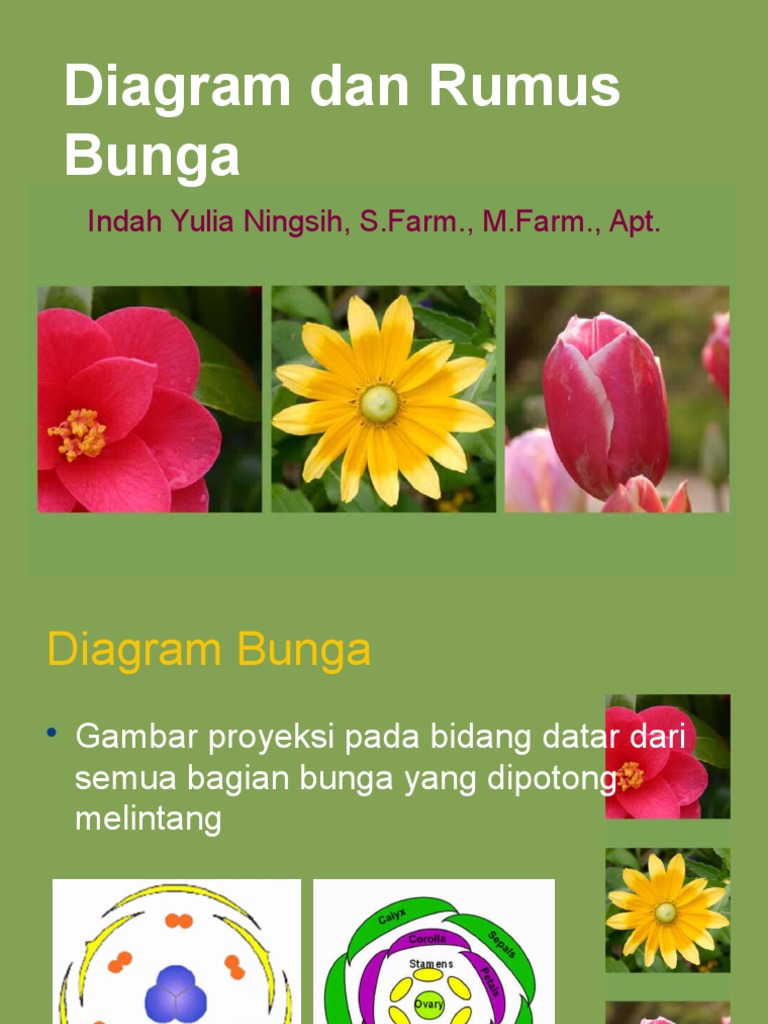 Rumus N Diagram Bunga | PDF