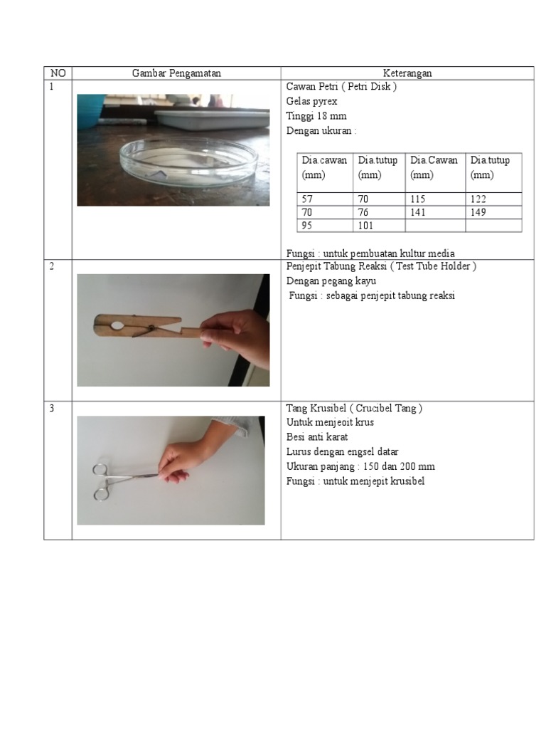 Fungsi Tang Krusibel Laboratorium | PDF | Griya & Taman | Teknologi ...