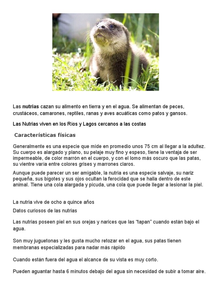 Nutria 2 | PDF