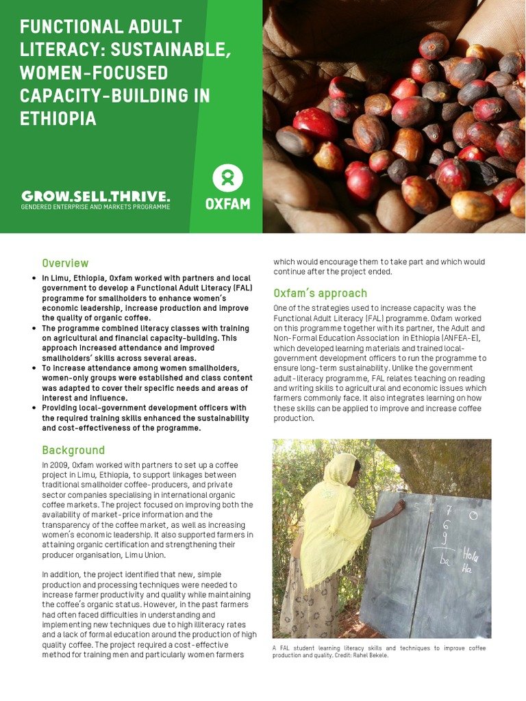 Functional Adult Literacy: Sustainable, Women-Focused Capacity-Building ...