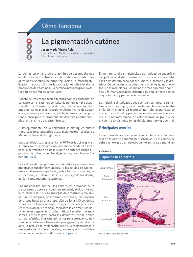 Discromías cutáneas y su diagnóstico | PDF | Epidermis | Piel