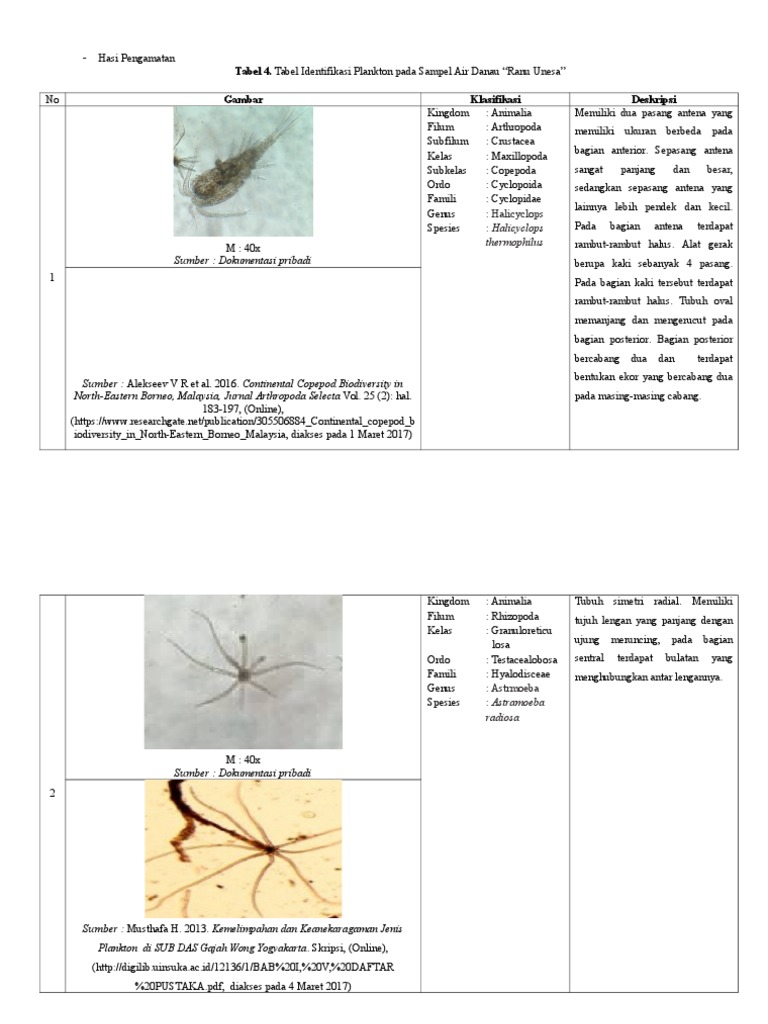 Tabel Identifikasi PLankton | PDF