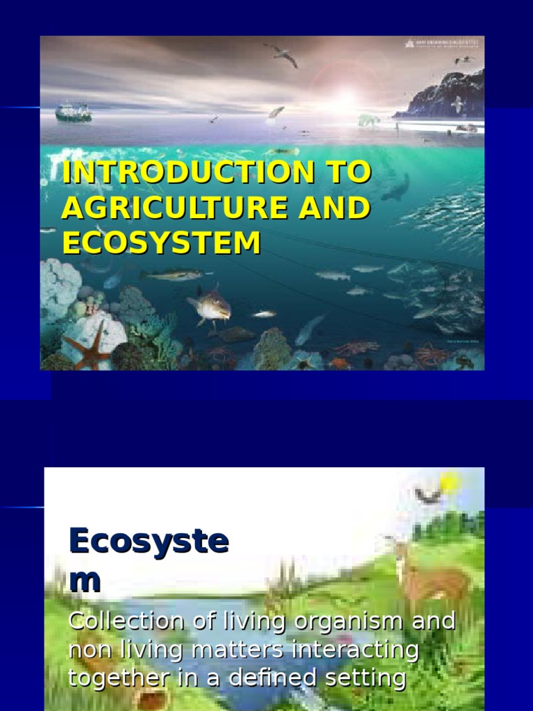 Importance of Ecosystem in Agriculture | PDF | Ecosystem | Ecology