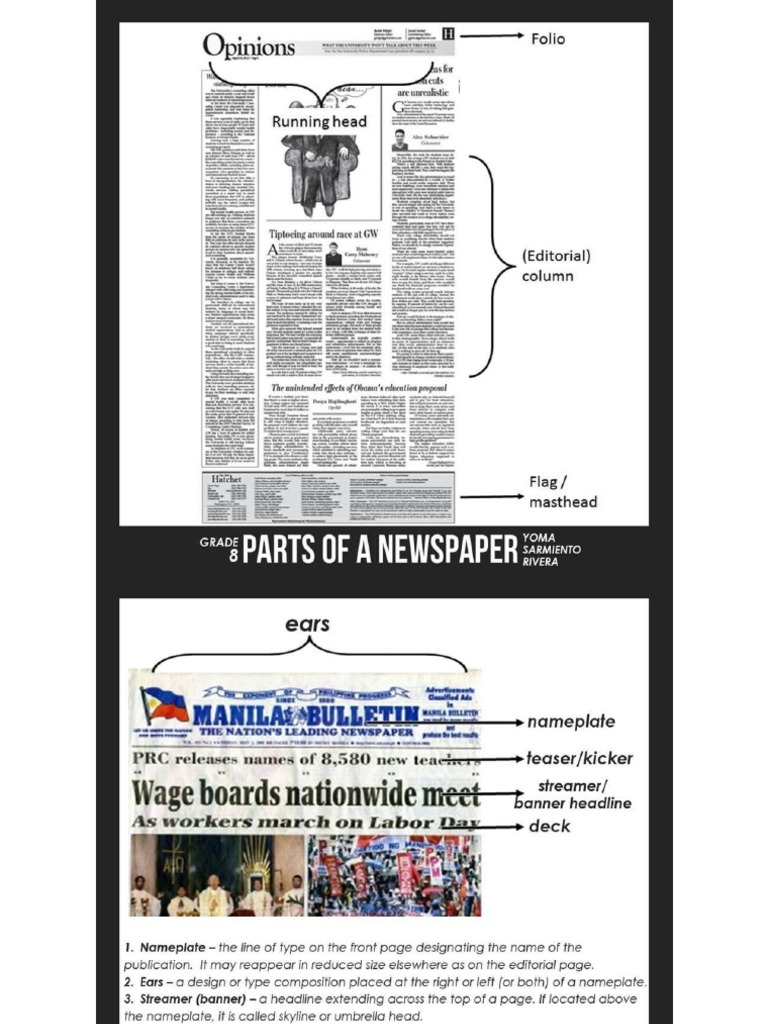 Parts of The Newspaper | PDF