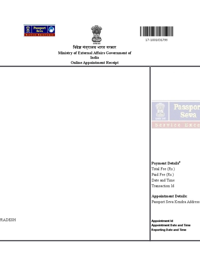 Passport Reciept | PDF