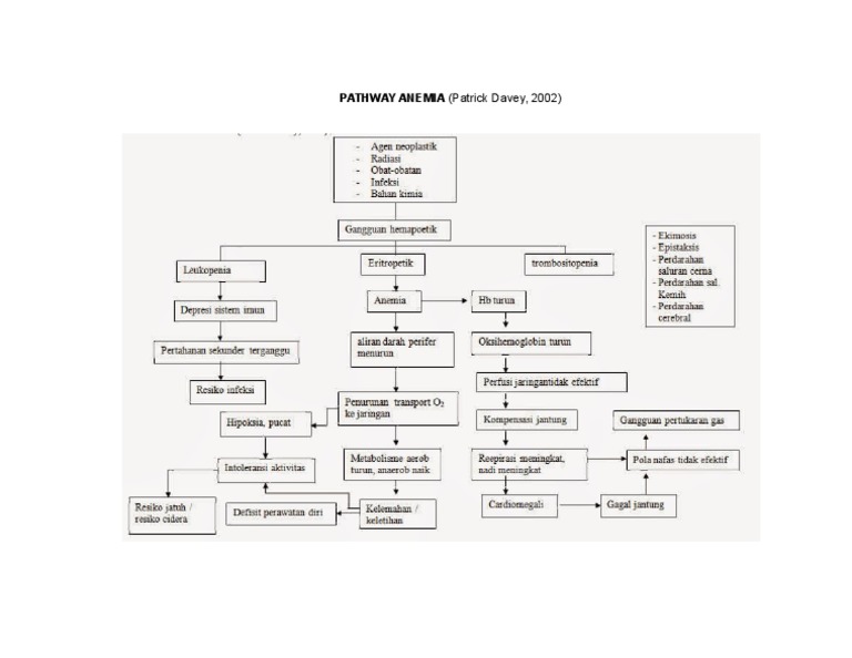 Pathway Anemia | PDF