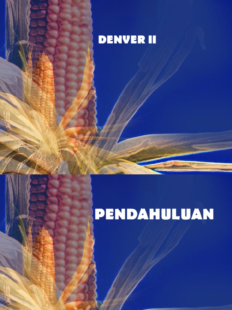 Skrining Perkembangan Anak Denver II | PDF