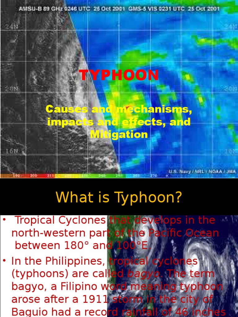 Typhoons | PDF | Tropical Cyclones | Typhoon