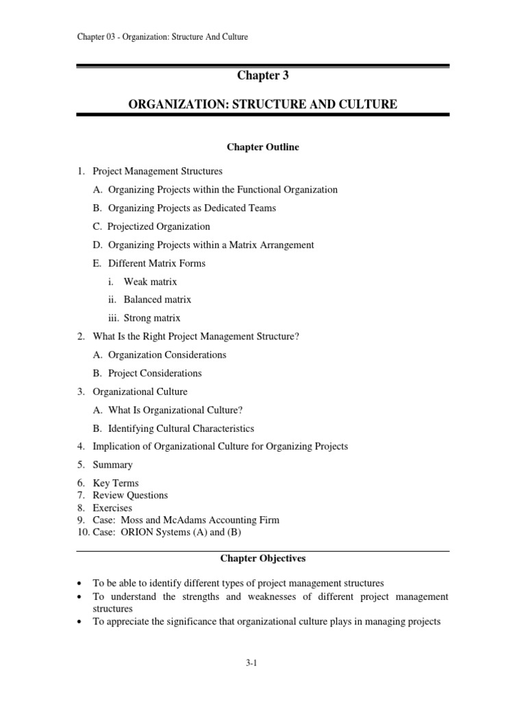 Chapter 3 Organisation Structure Culture | PDF | Project Management ...