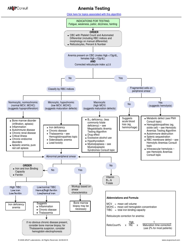 Anemia Of Chronic Disease Algorithm
