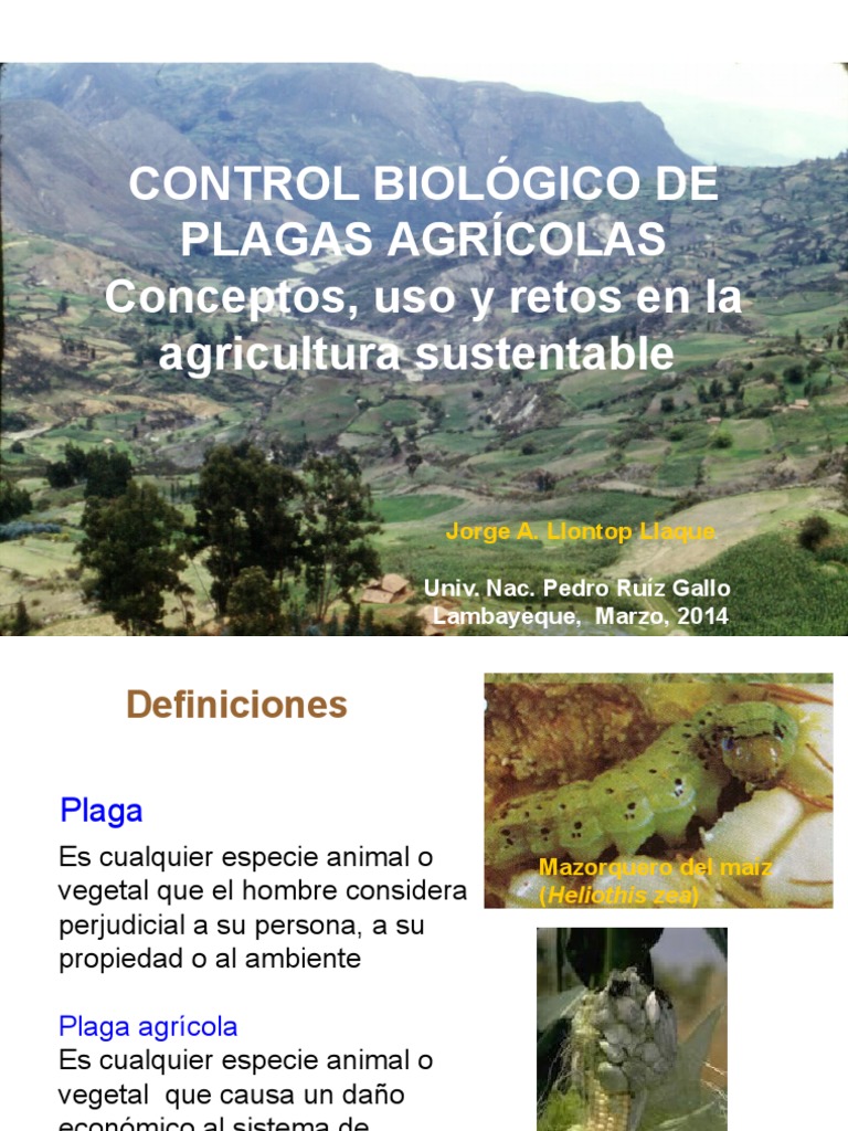 Control Biológico de Plagas Agrícolas | PDF | Insectos beneficiosos ...