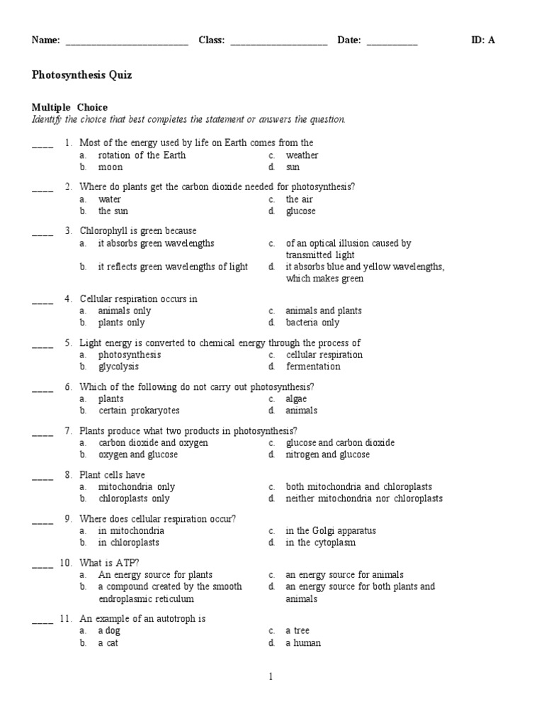 Photosynthesis Quiz | PDF | Photosynthesis | Chloroplast