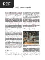 Historia de Las Jirafas | PDF | Evolución