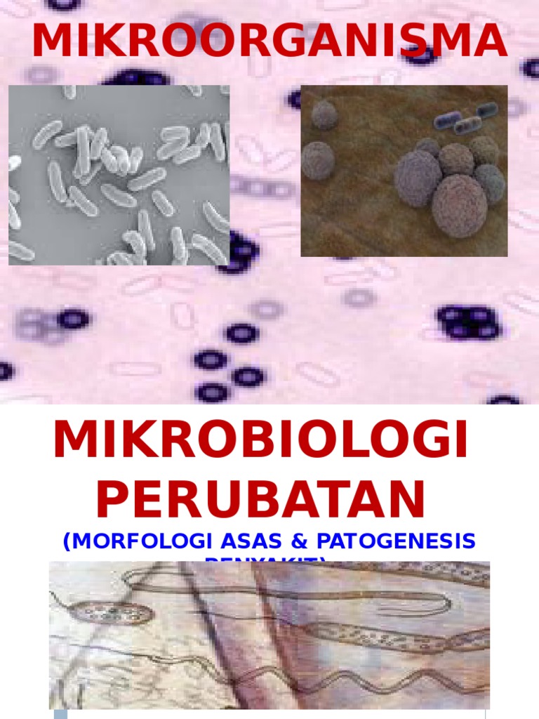 Morfologi dan Patogenesis Mikroorganisma | PDF