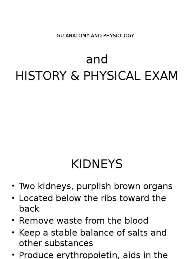Comprehensive Guide to GU Anatomy | PDF | Kidney | Urinary Bladder