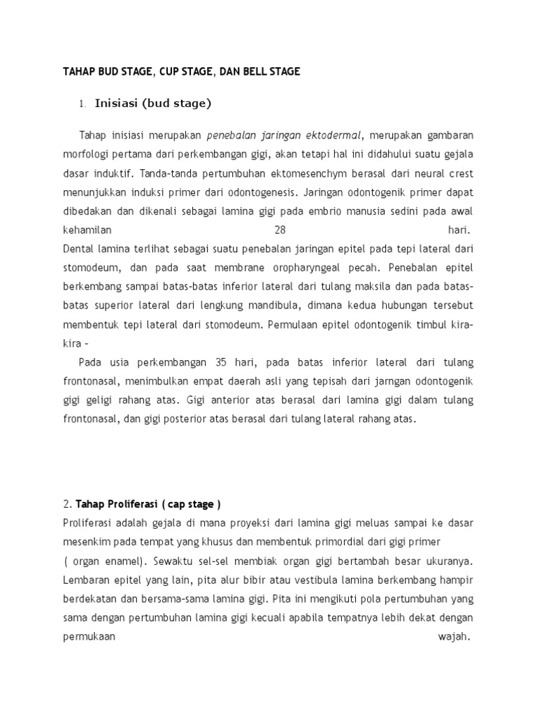 Tahap Bud Stage | PDF