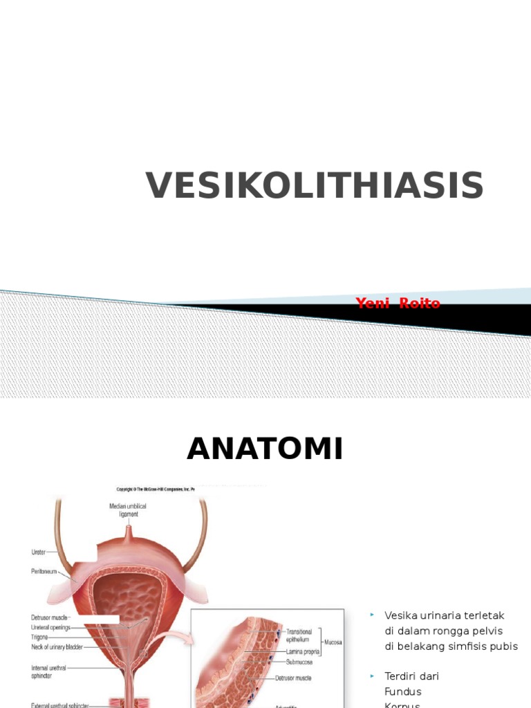 PPT Vesikolithiasis | PDF