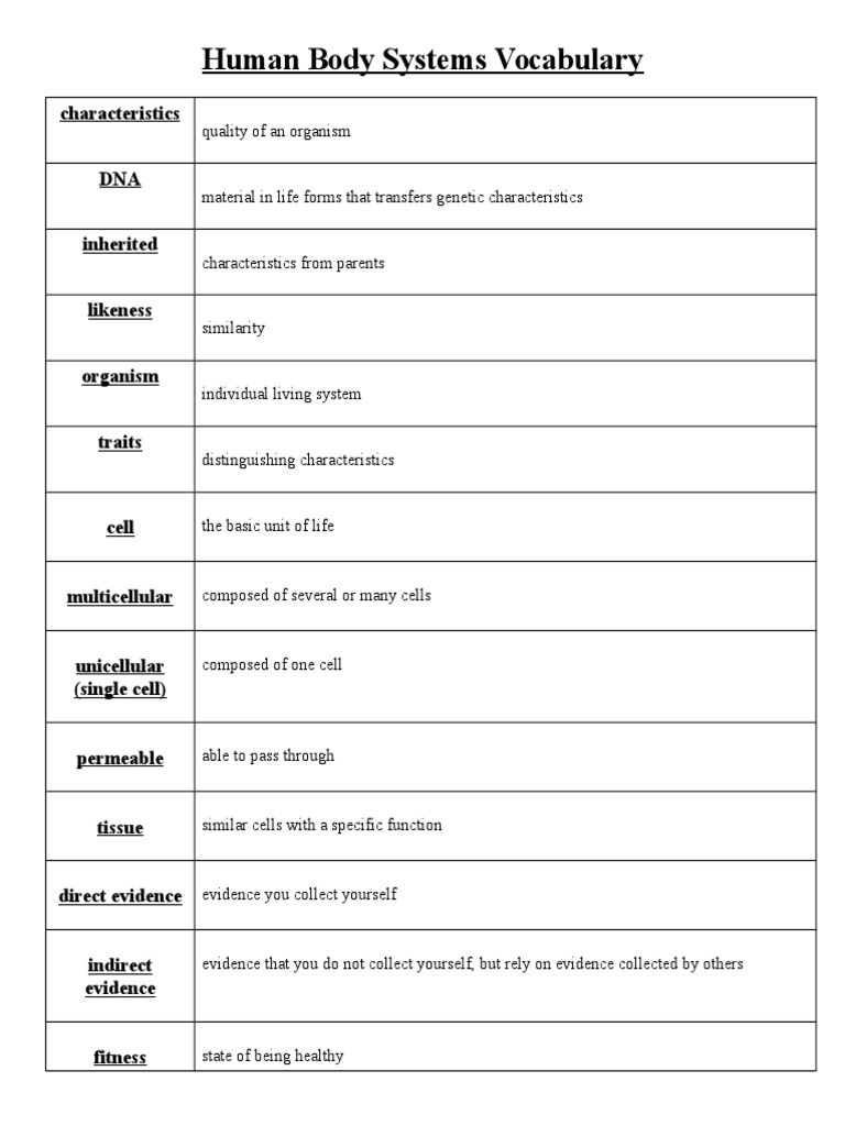 Human Body Vocabulary | PDF | Heart | Lung