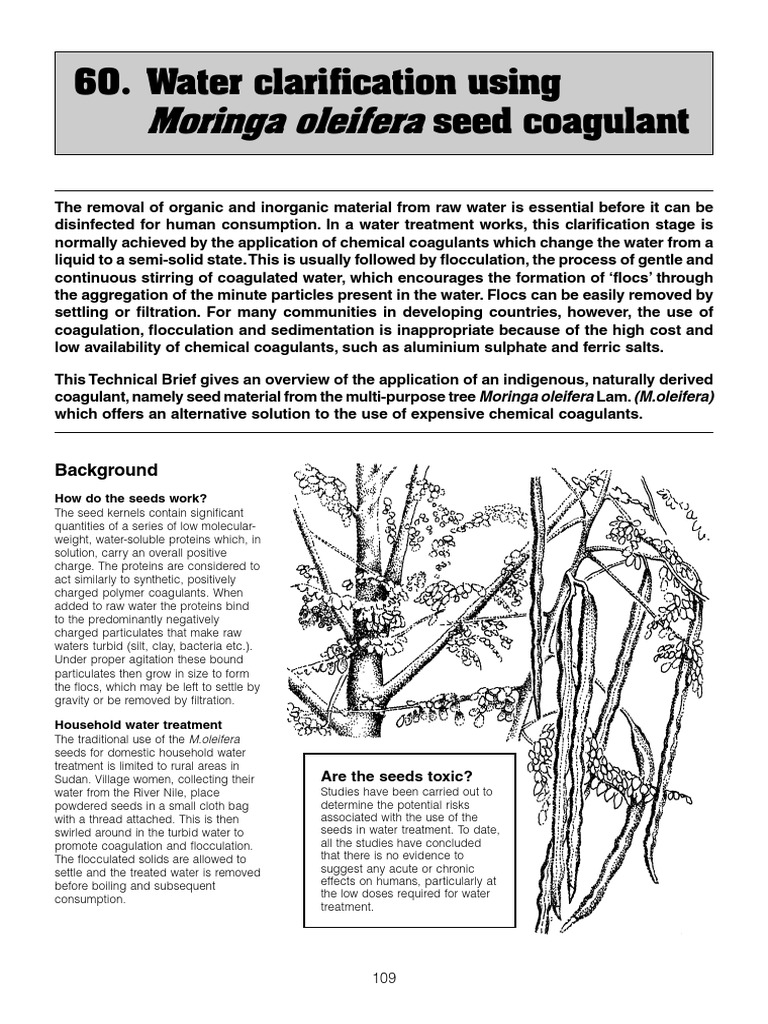 60 Water Clarification Using Moringa Oleifera Seeds Pdf Pdf Water