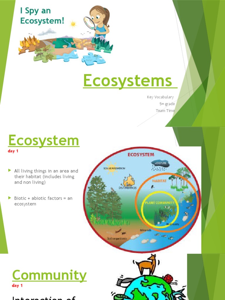 Ecosystems: Key Vocabulary 5 Grade Team Time | PDF | Grassland | Rainforest